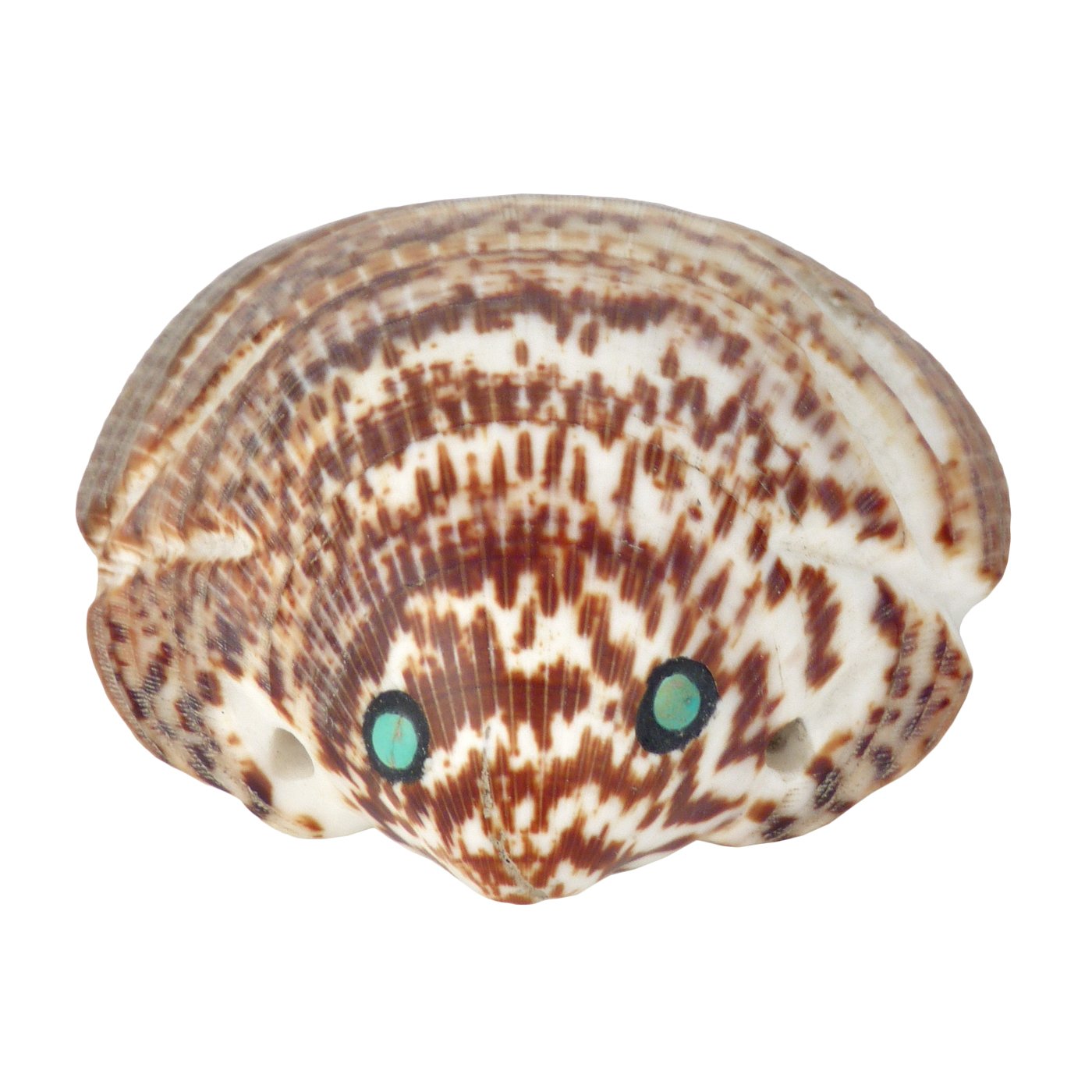 Shell Frog Fetish with Turquoise Inlay | Shiprock Santa Fe